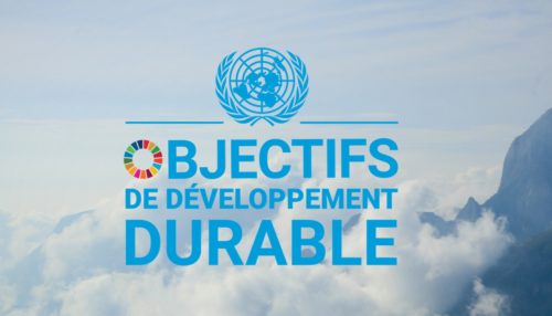 Intégrer les ODD dans votre stratégie RSE - Agence Déclic